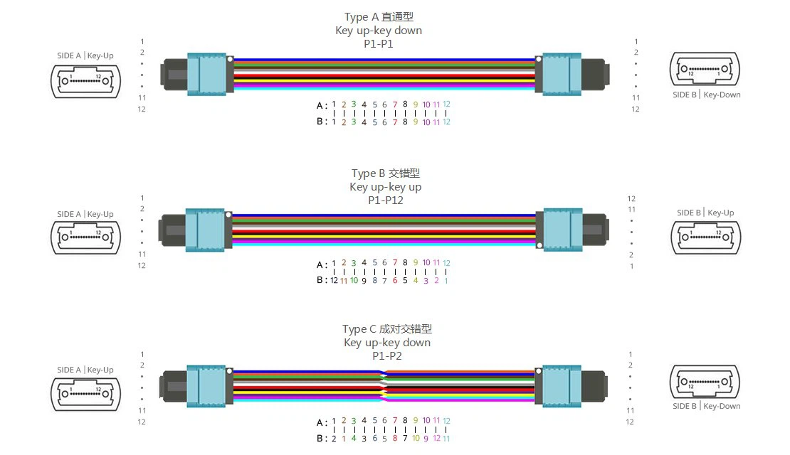 MPO/MTP TRUNK - i7Fiber